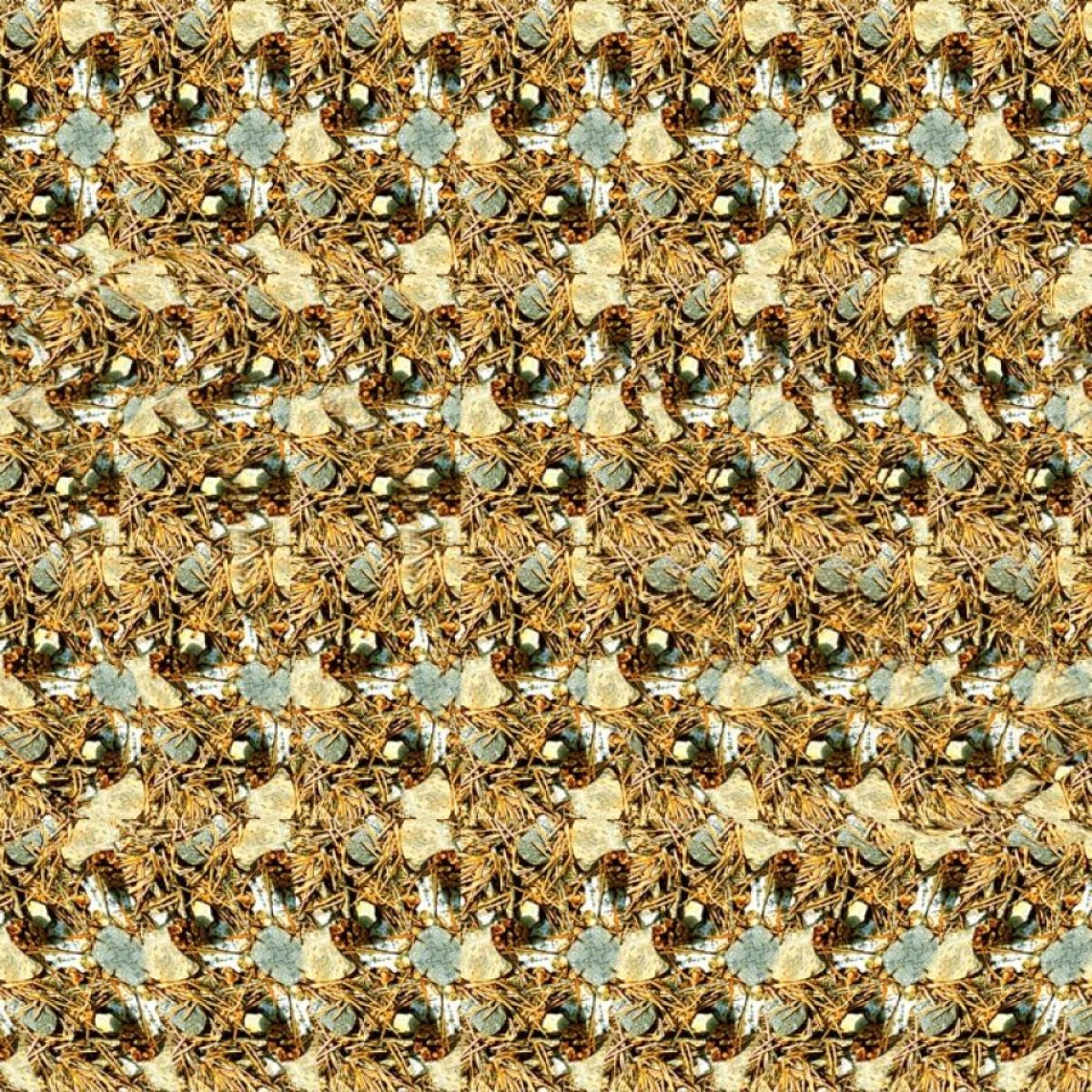 3d giraffe illusion answer