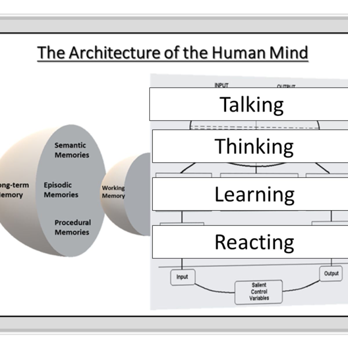 human memory structure with diagram