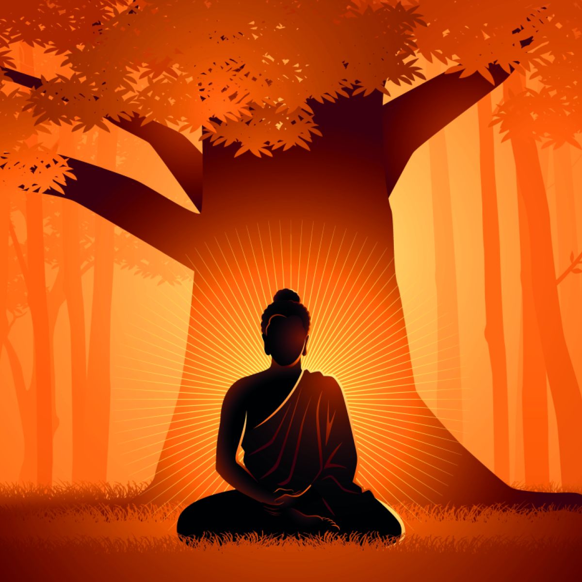 spiritual enlightenment meditation