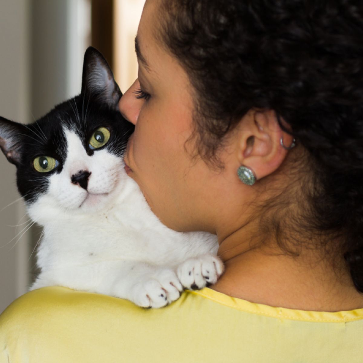 cat human hybrid baby