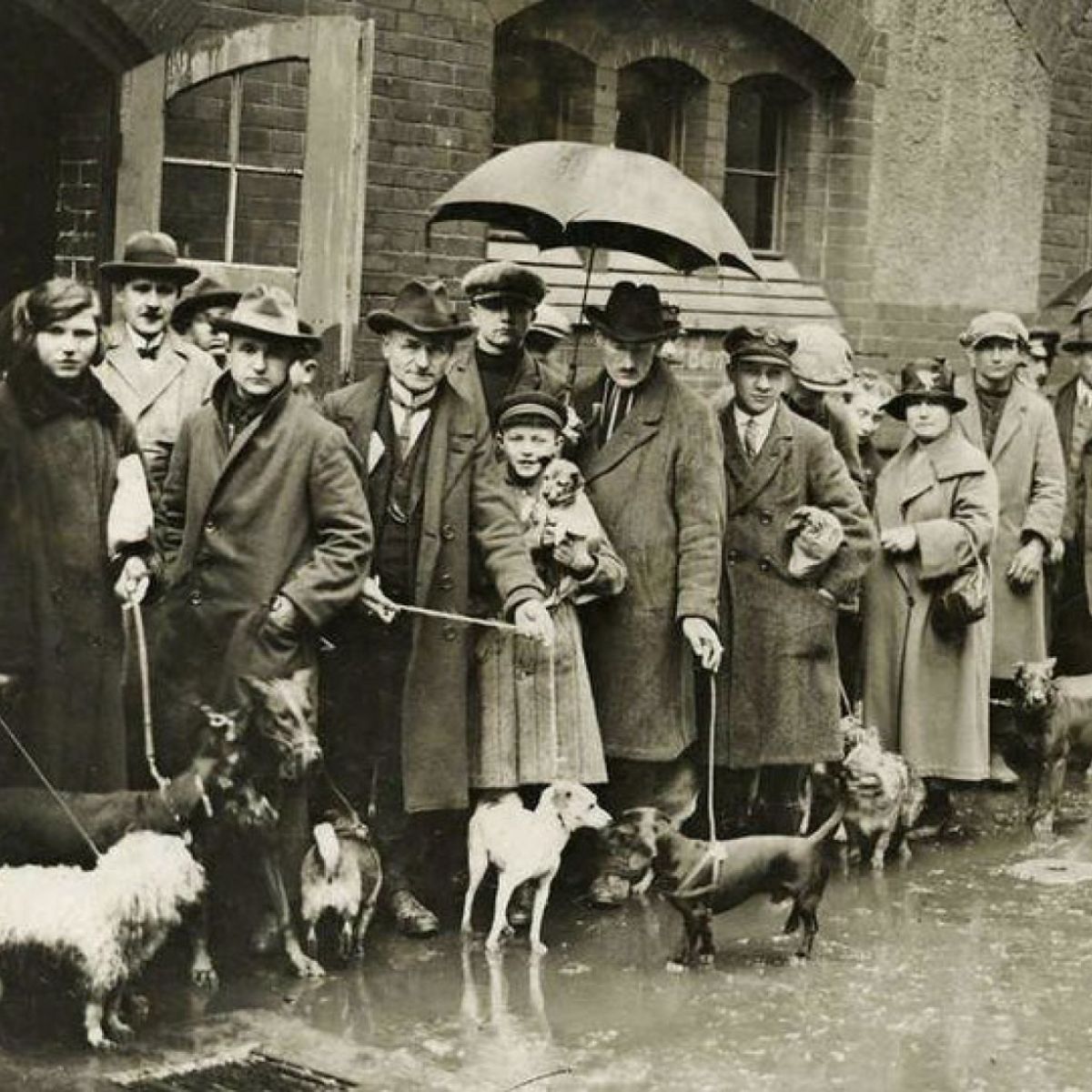 does the uk euthanize dogs