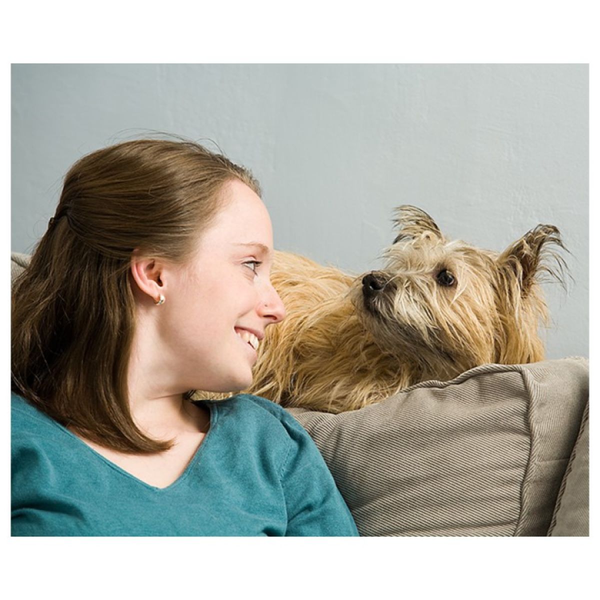 do dogs remember human faces