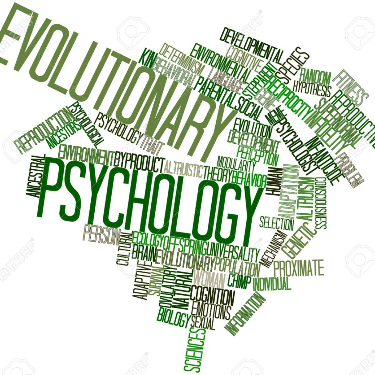 evolutionary developmental psychology examples