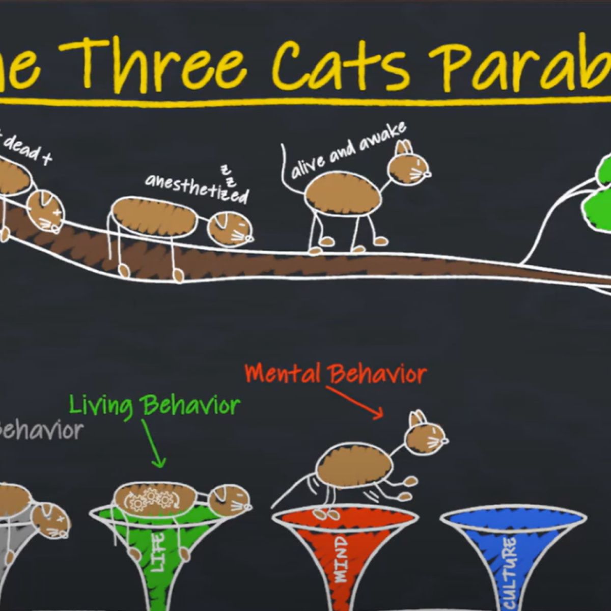 animal behaviour level 3