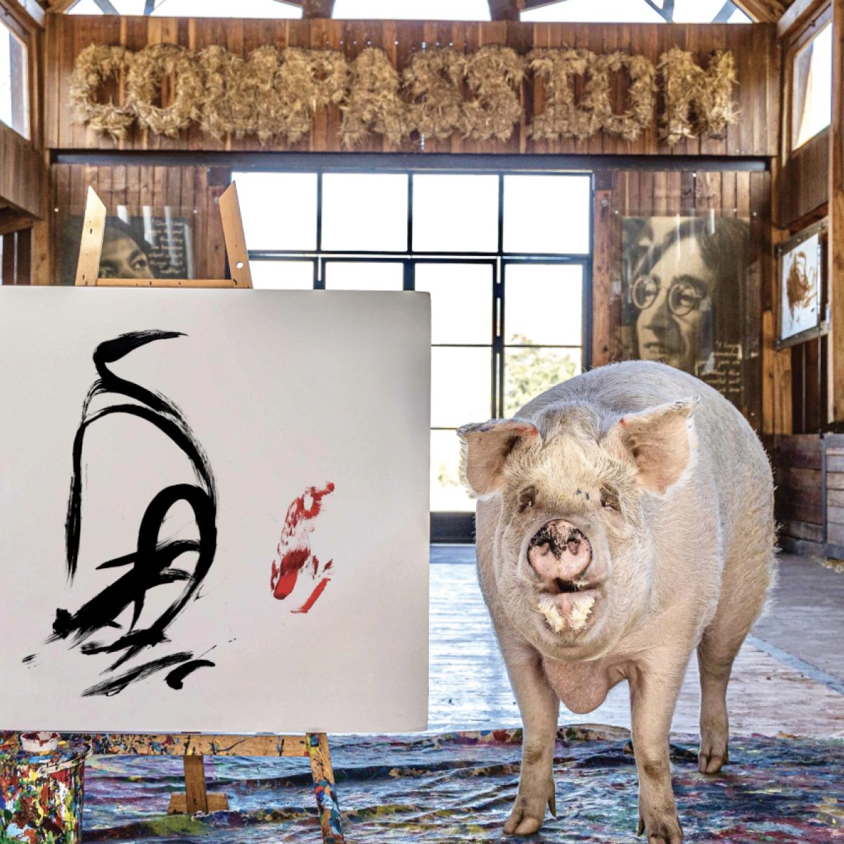 animals that create art