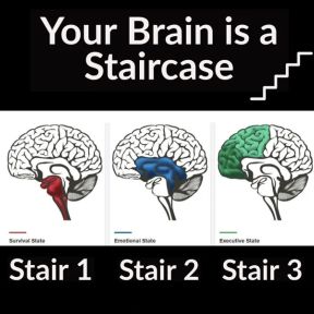 Simplifying Complex Trauma | Psychology Today