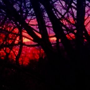 All Is Well | Psychology Today