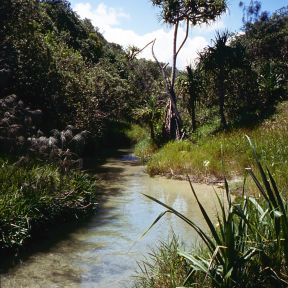 The Forgotten Art of Love | Psychology Today United Kingdom