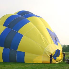 Vagus Nerve | Psychology Today