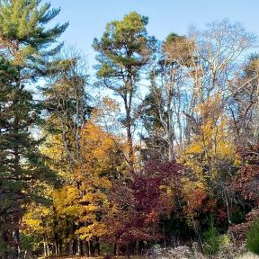 The Forgotten Art of Love | Psychology Today United Kingdom