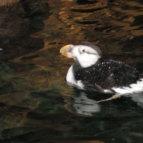 Demystifying Psychiatry | Psychology Today