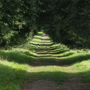 Psychosis | Psychology Today United Kingdom