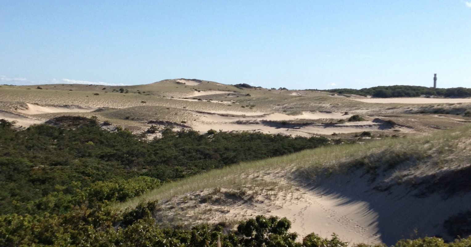 How to Look Out for Yourself | Psychology Today