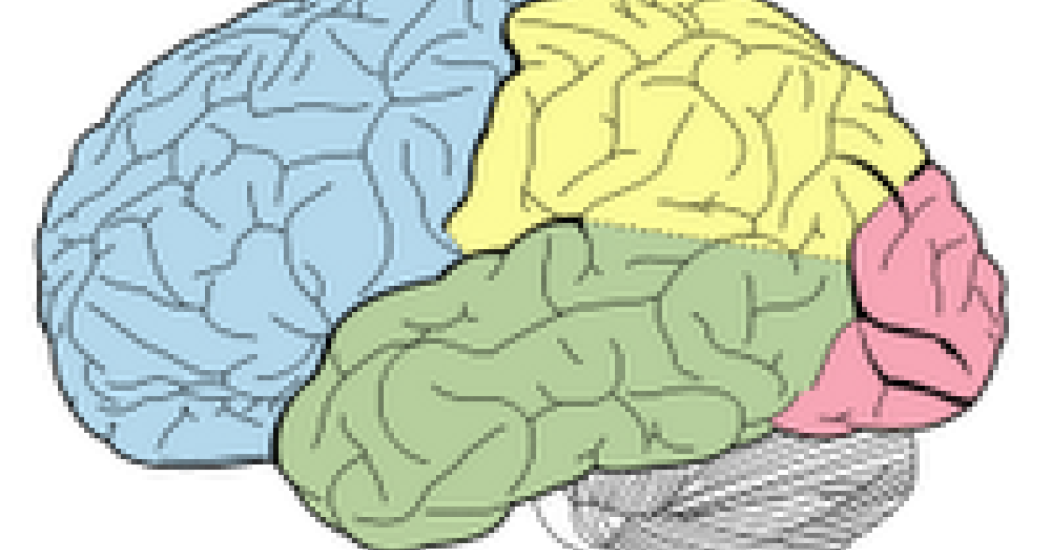Hemispatial Neglect: A One-Sided World | Psychology Today