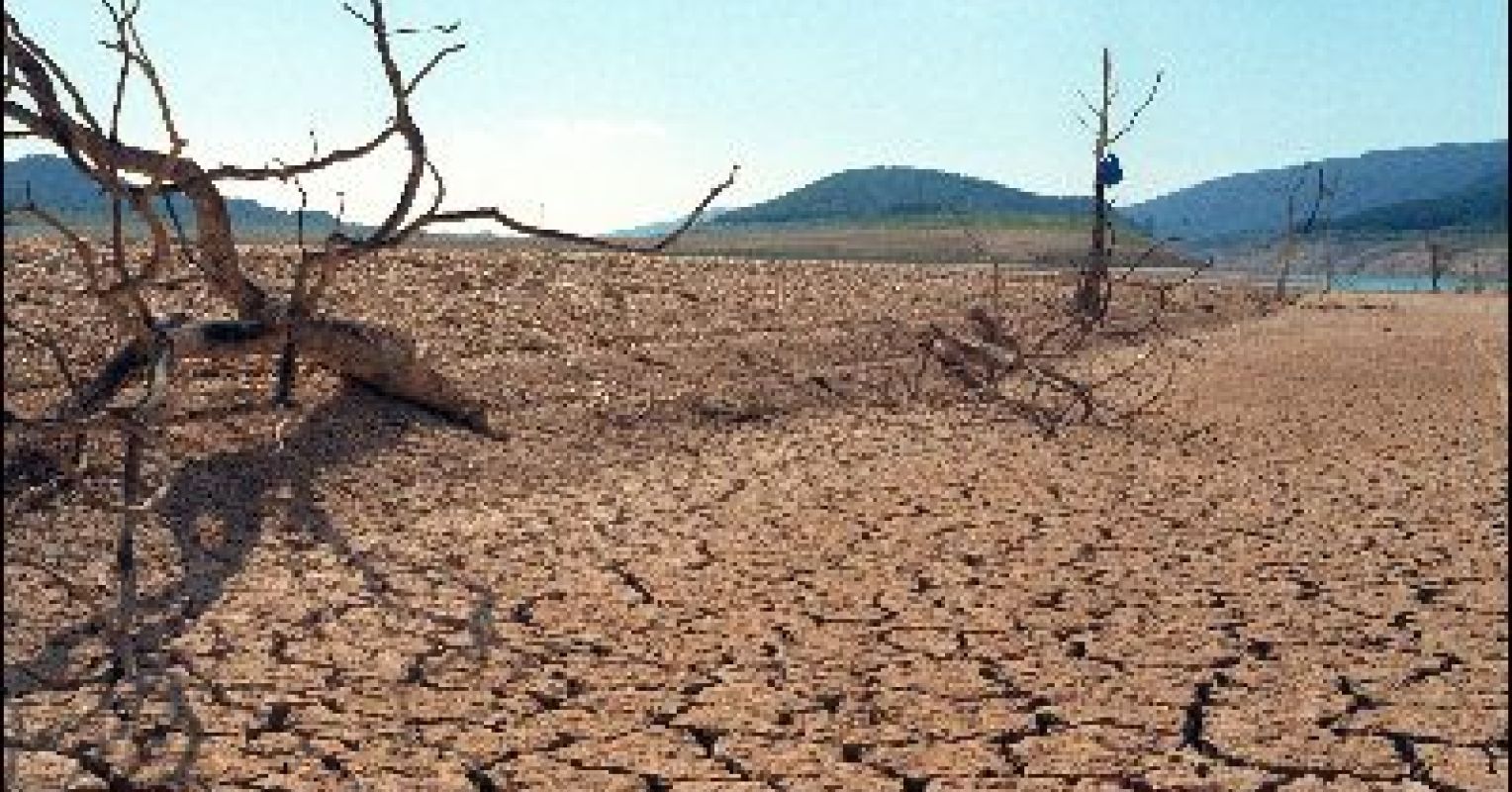 Adapted for a Changing World | Psychology Today