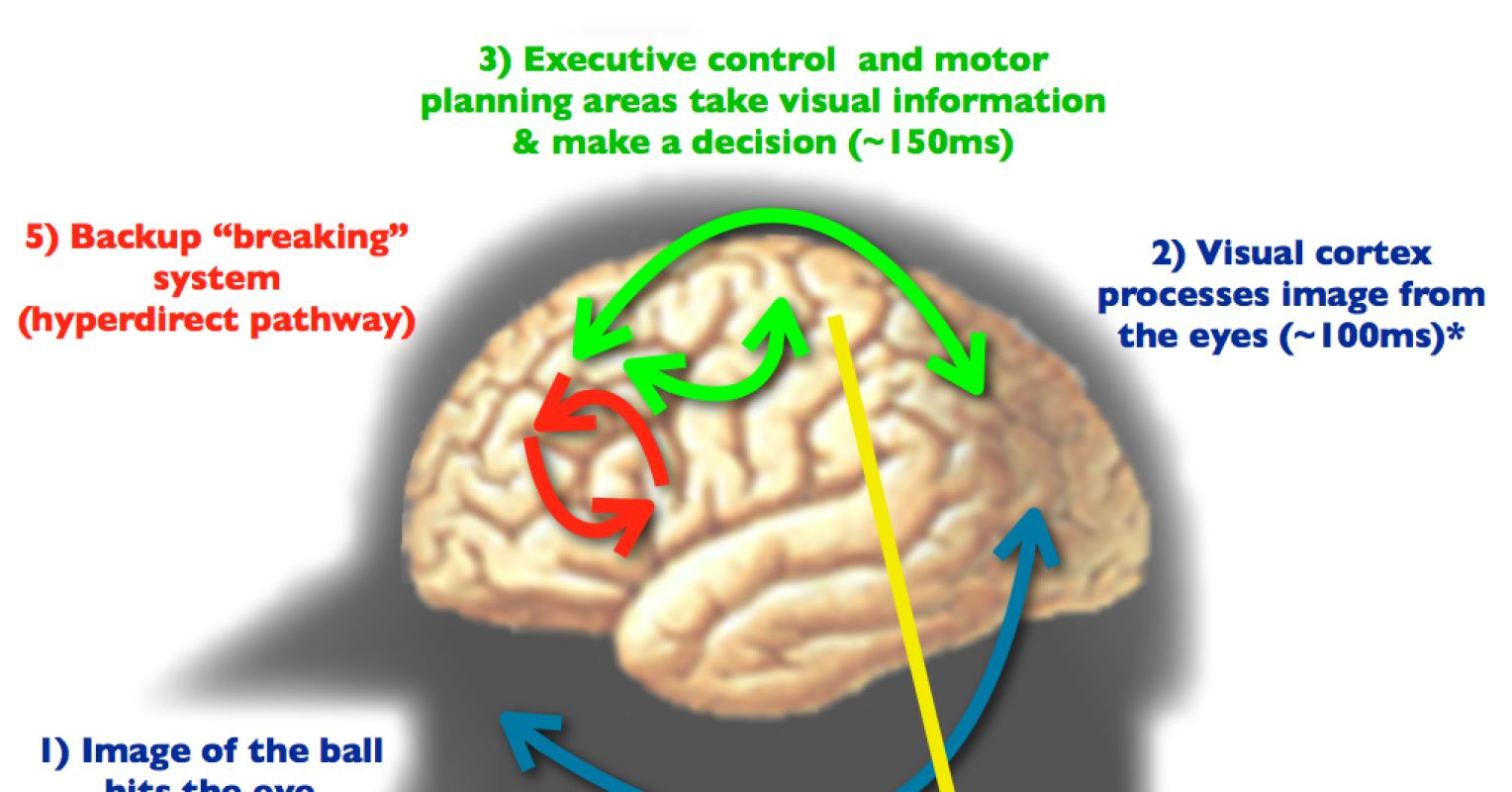 Forget Chess, Meet The Ultimate Brain Challenge | Psychology Today