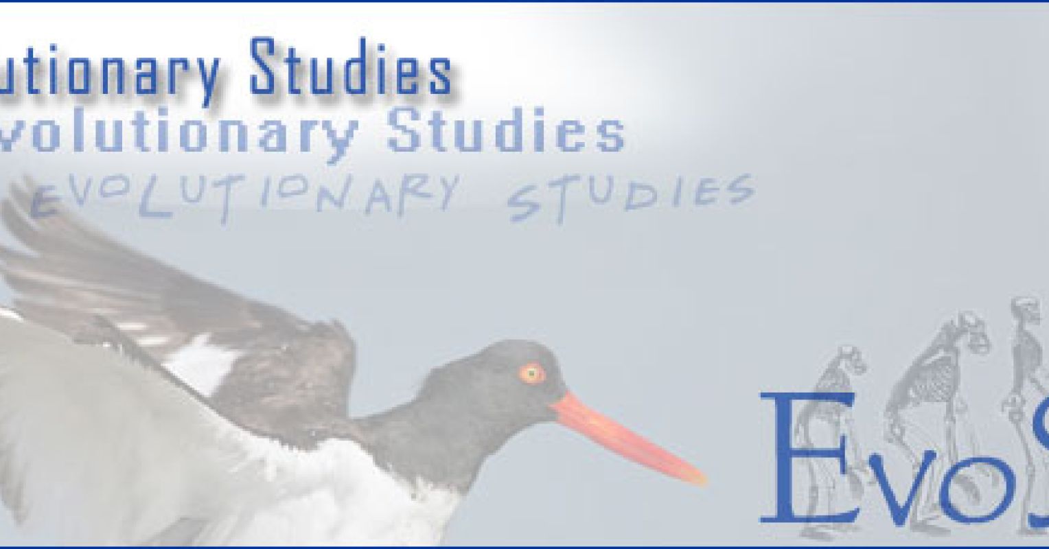 The Evolution Paradox in Higher Education | Psychology Today