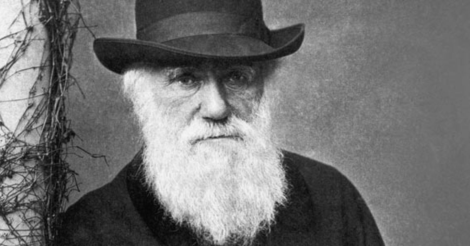 Evolutionary Psychology’s Expansion – Our Promise to Darwin ...