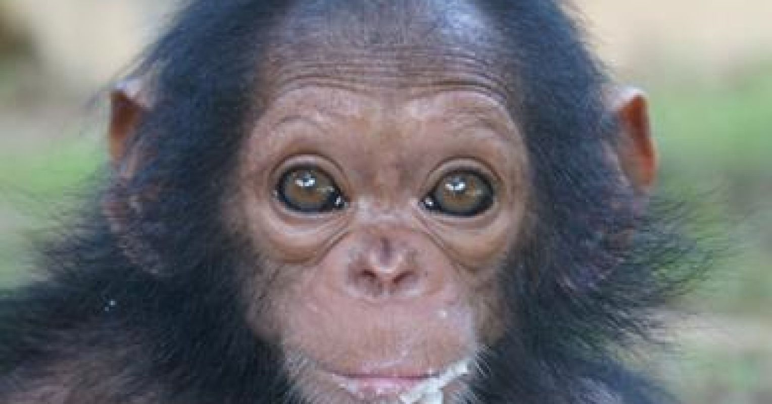 The Power of Patterns That Guide Our Thinking | Psychology Today United ...