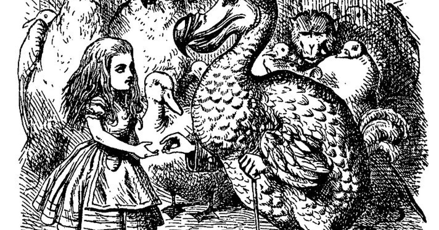 dodo bird theory
