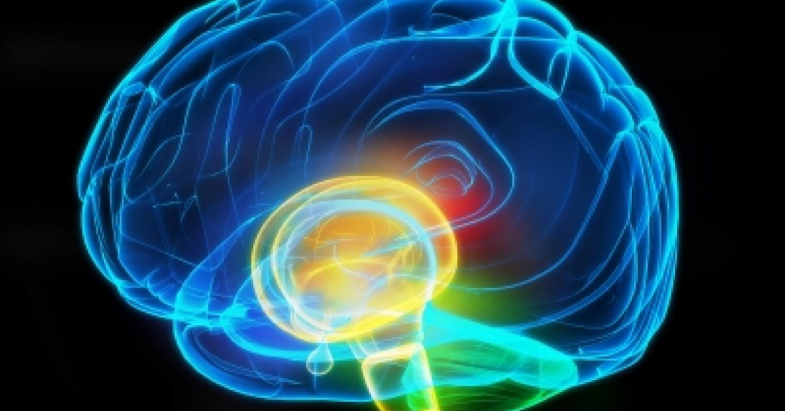 ADHD as a Brain Maturation Delay? | Psychology Today