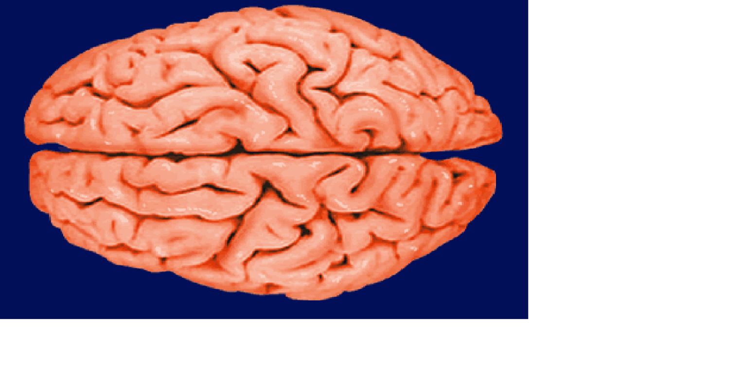 The Neuroscience Obsession: Good or Bad for Psychology? | Psychology Today