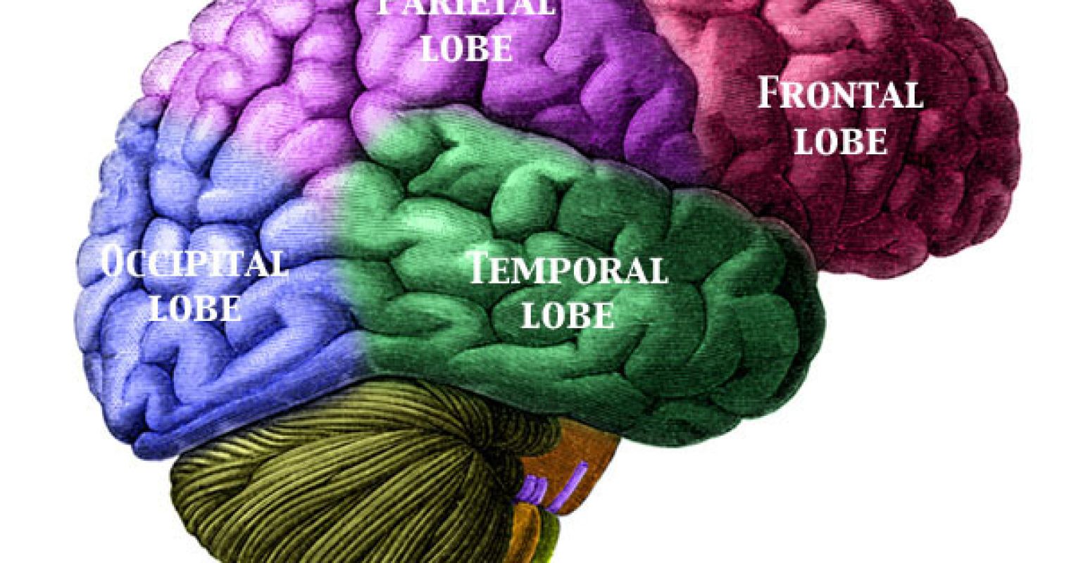 The Science Behind Intuition | Psychology Today