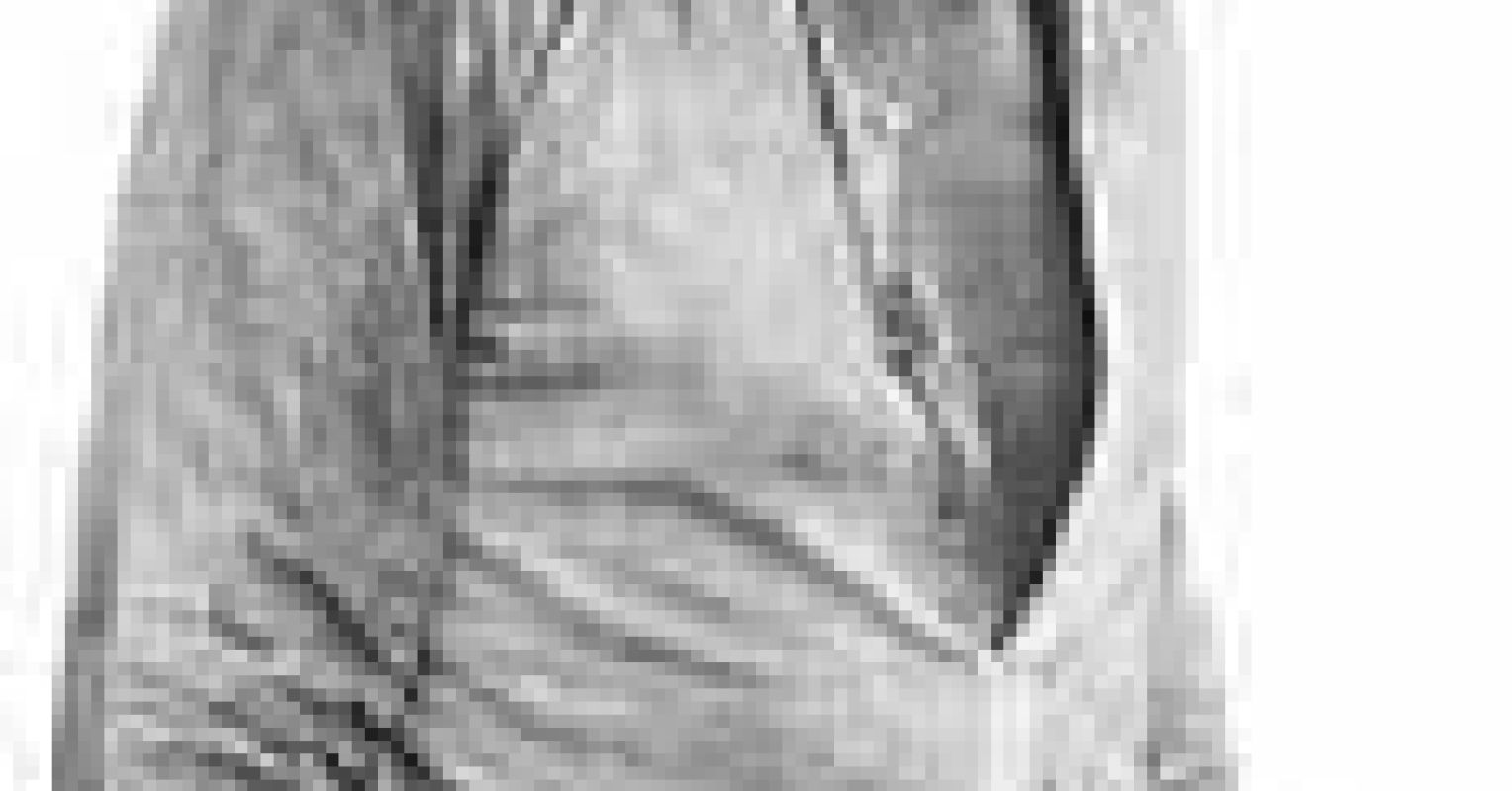 Racial Politics in the US and the Figure of the White Lady | Psychology ...