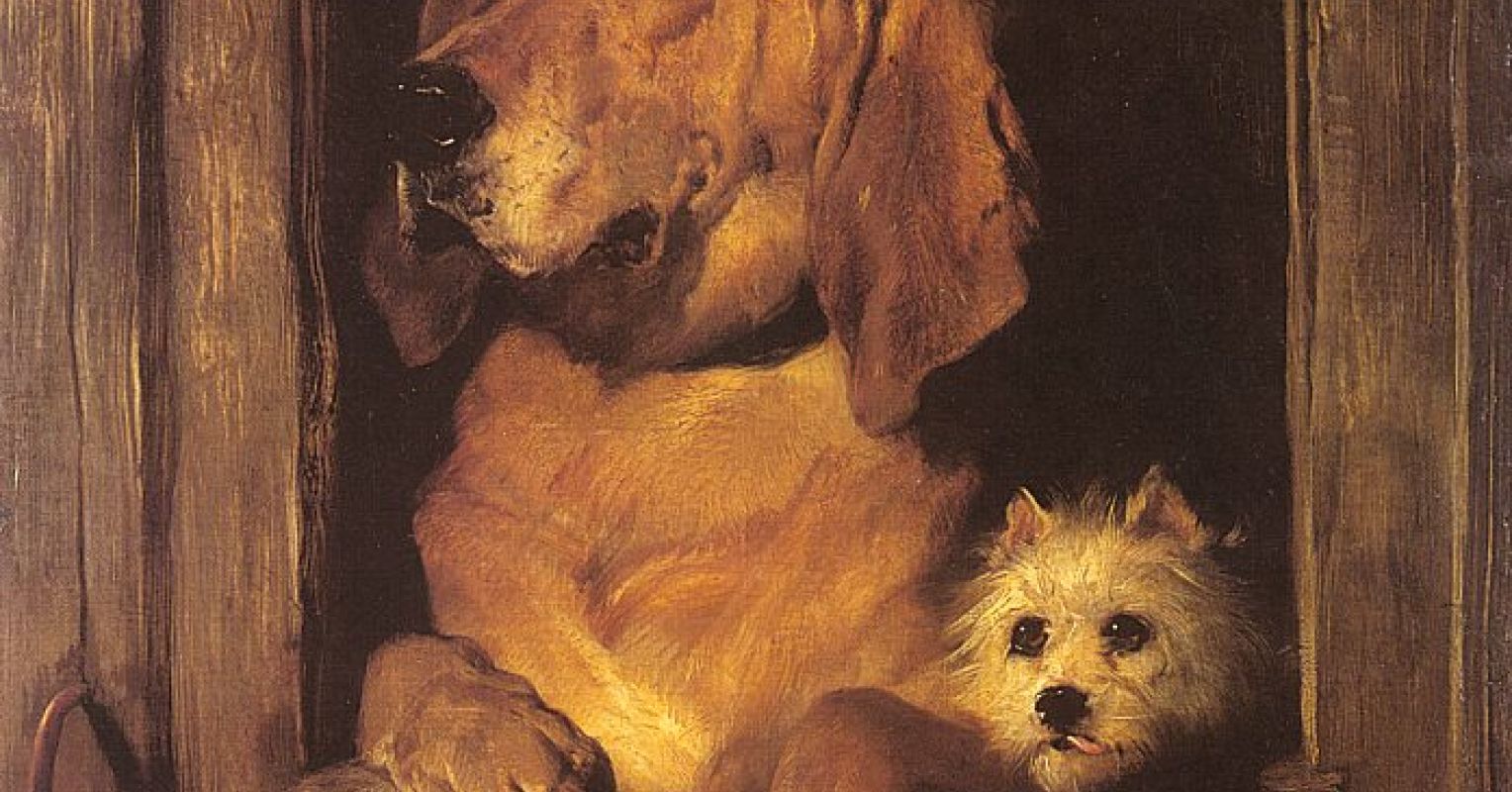 Can Dogs Form True Friendships with Other Dogs | Psychology Today