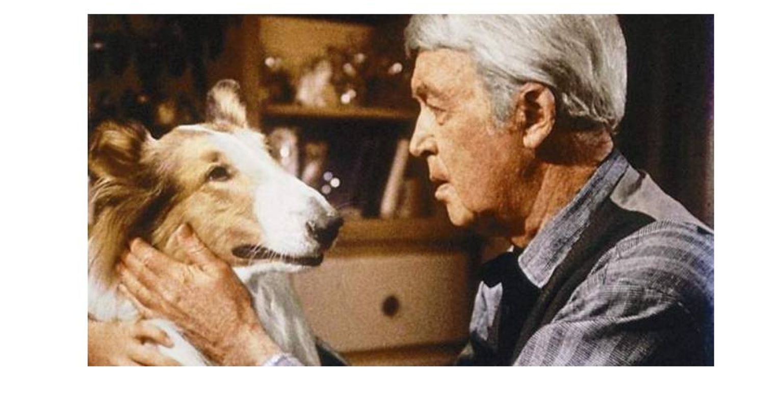 Jimmy Stewart and a Dog Named Beau | Psychology Today