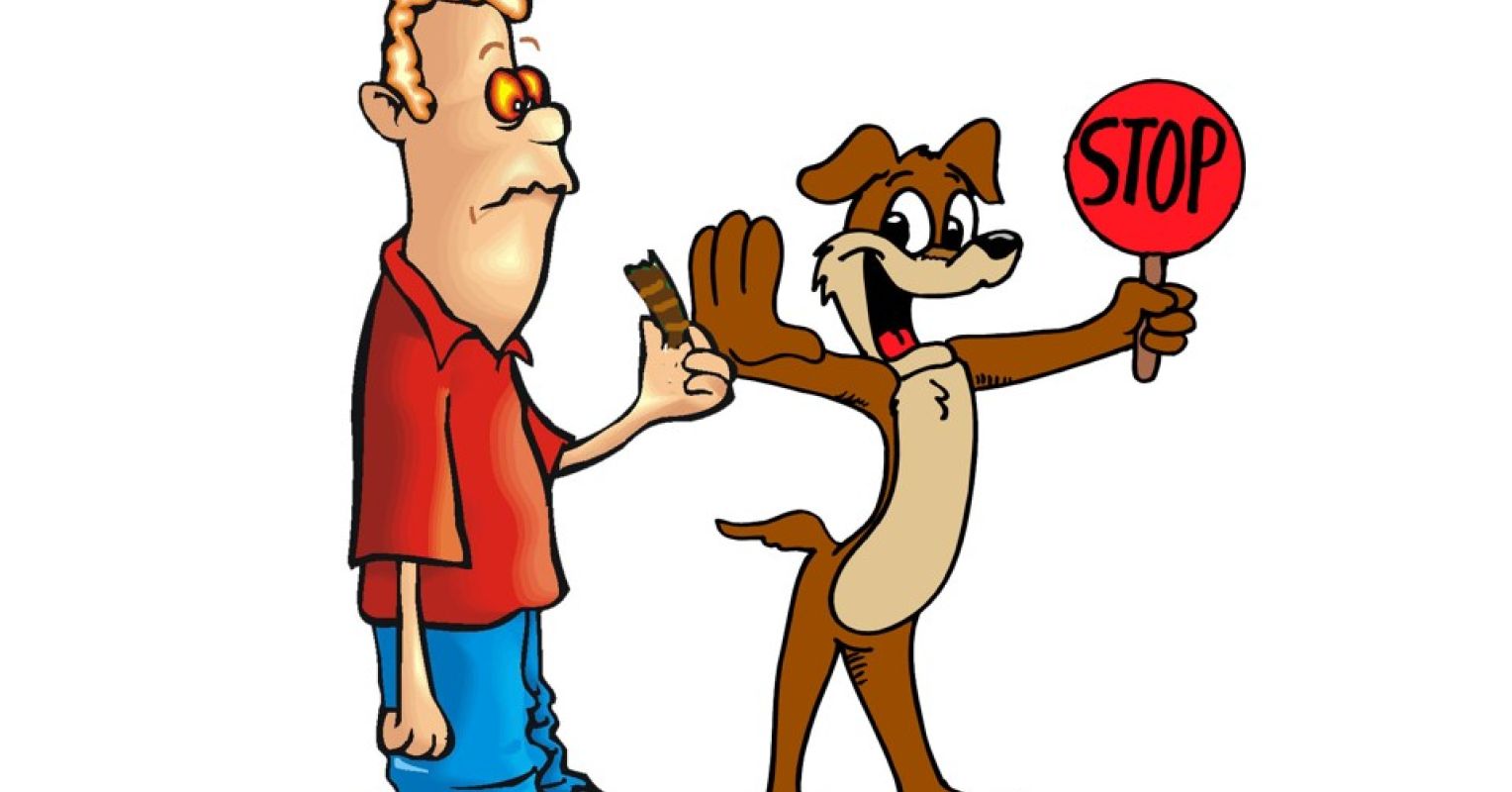 Can We Create a Gluten-Detecting Service Dog? | Psychology Today