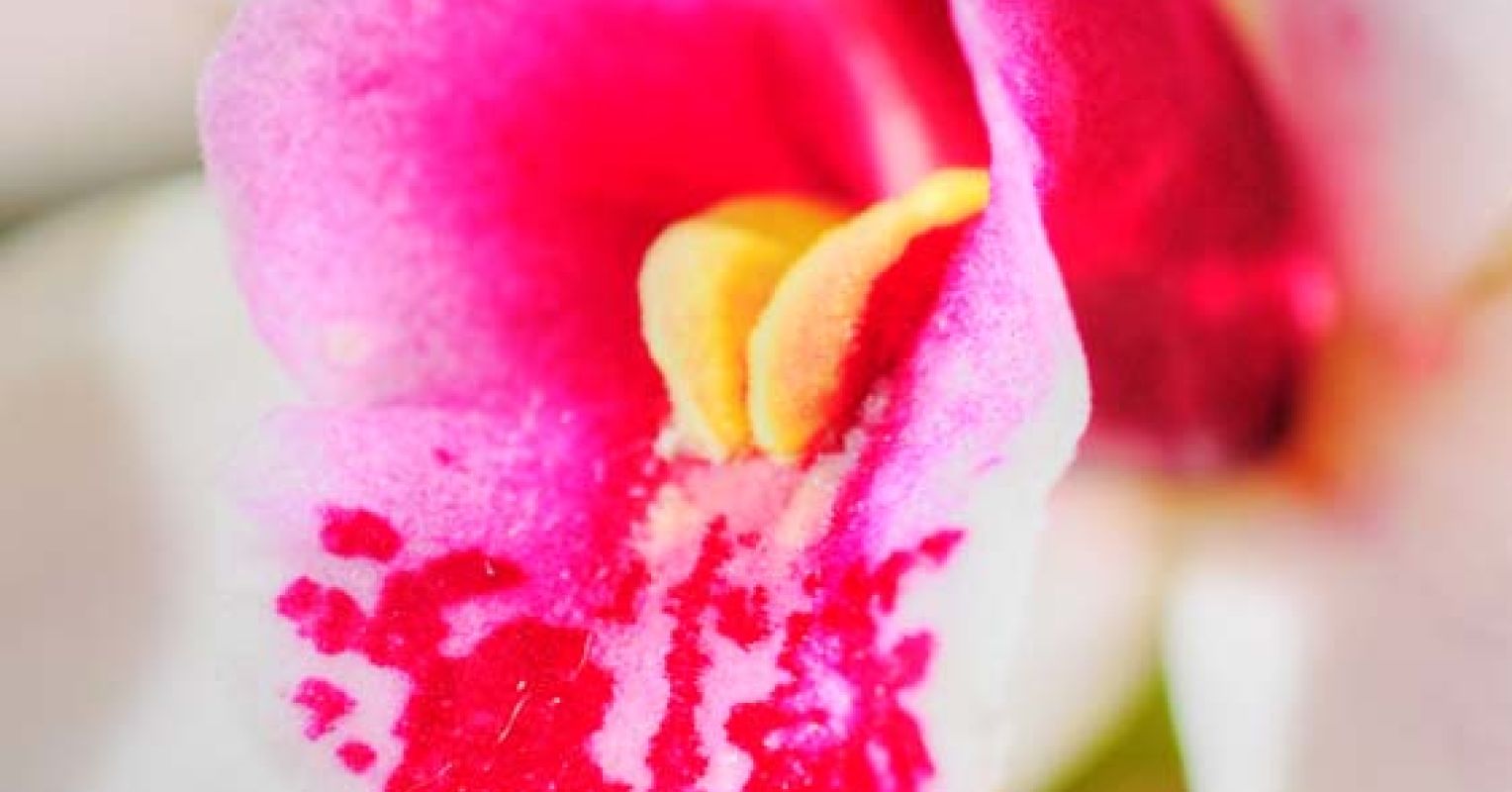 The Myth of the Black Aspergian | Psychology Today