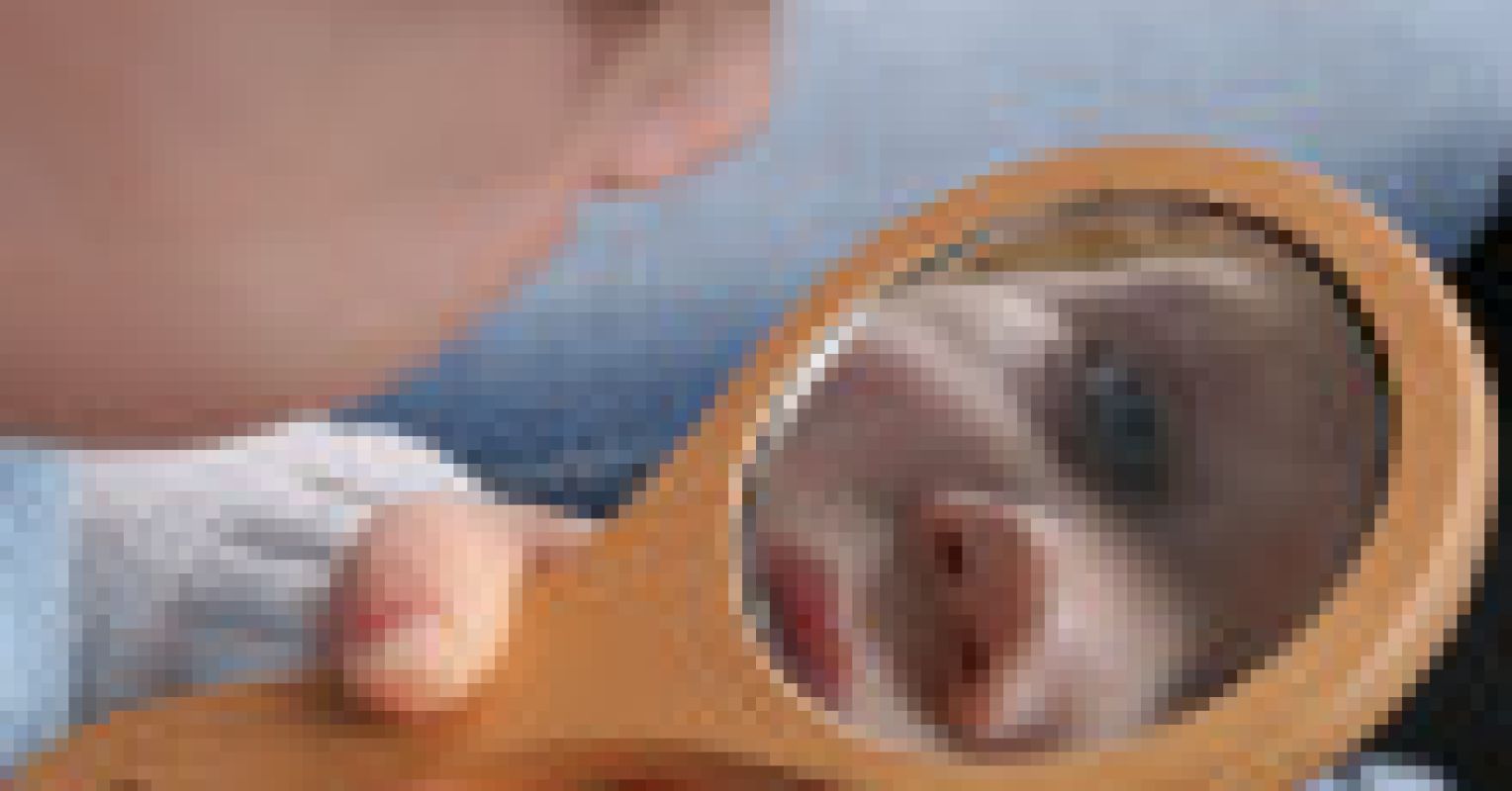 Shaping Self-Trust | Psychology Today