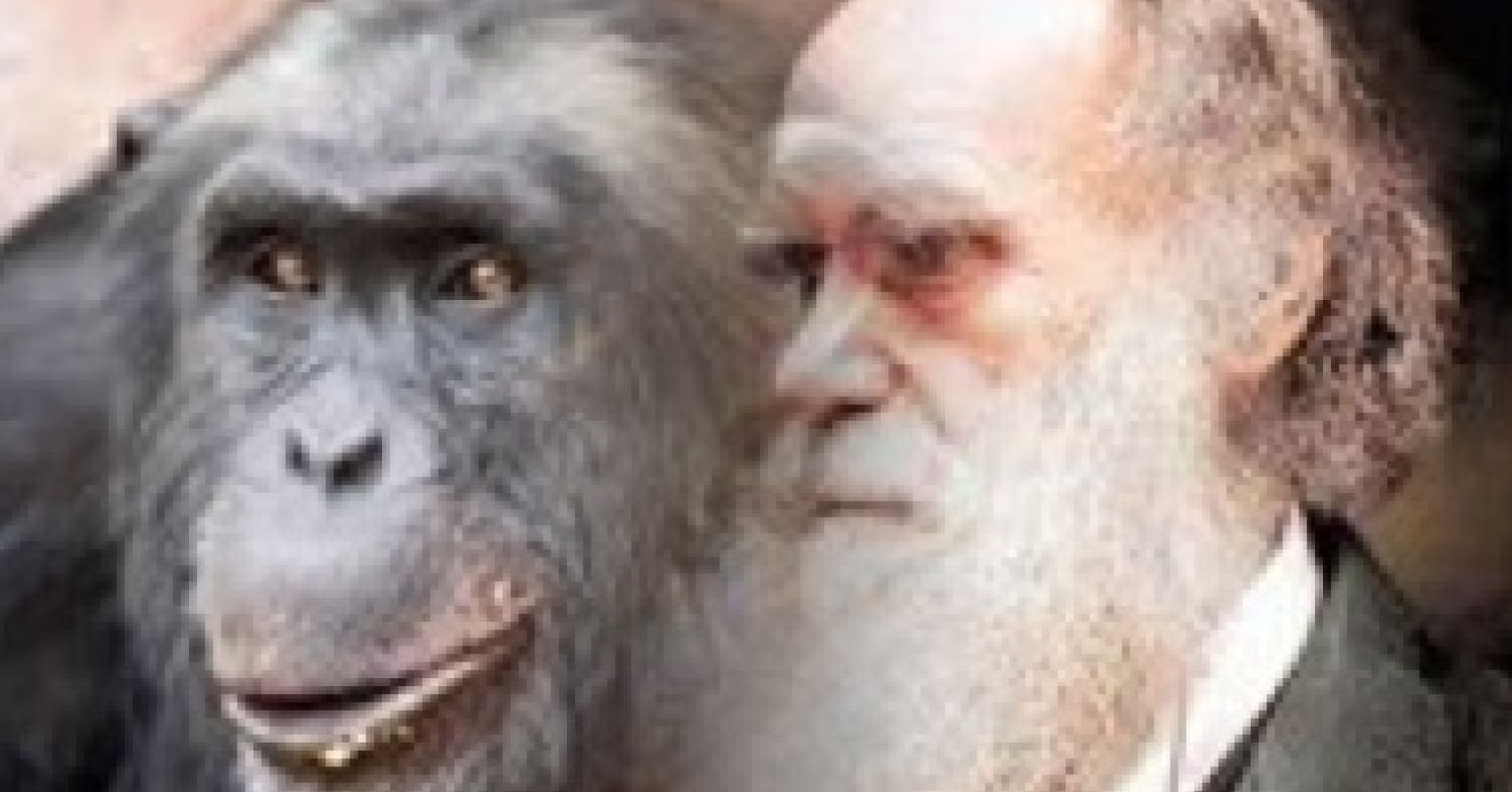 Man and Monkey | Psychology Today