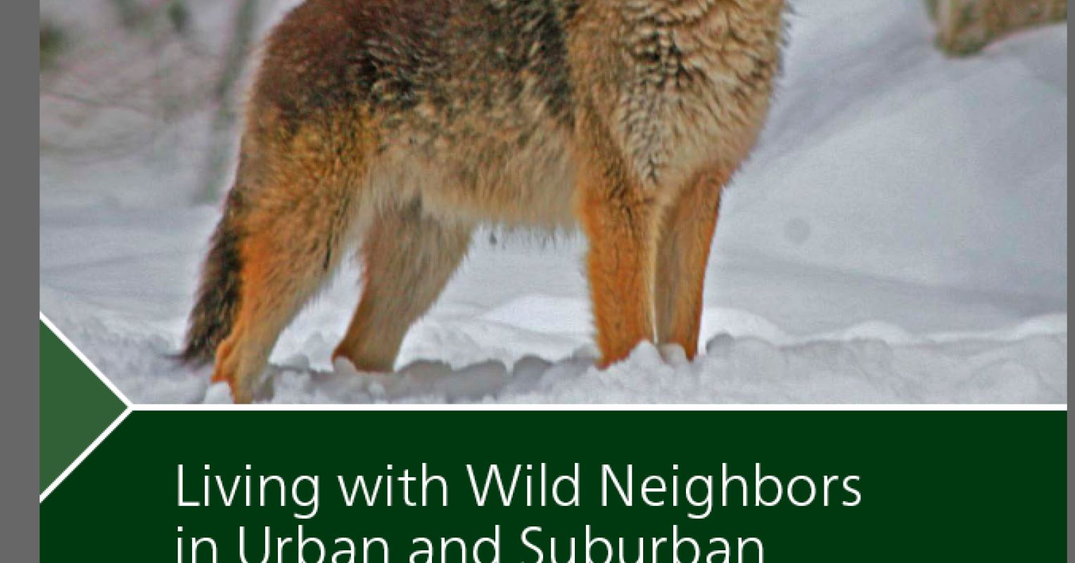 Being "Mad About Wildlife" and Redecorating Nature | Psychology Today