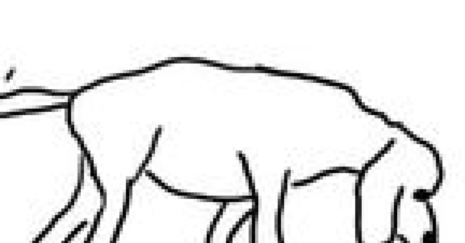 What Not to Name a Dog | Psychology Today Canada