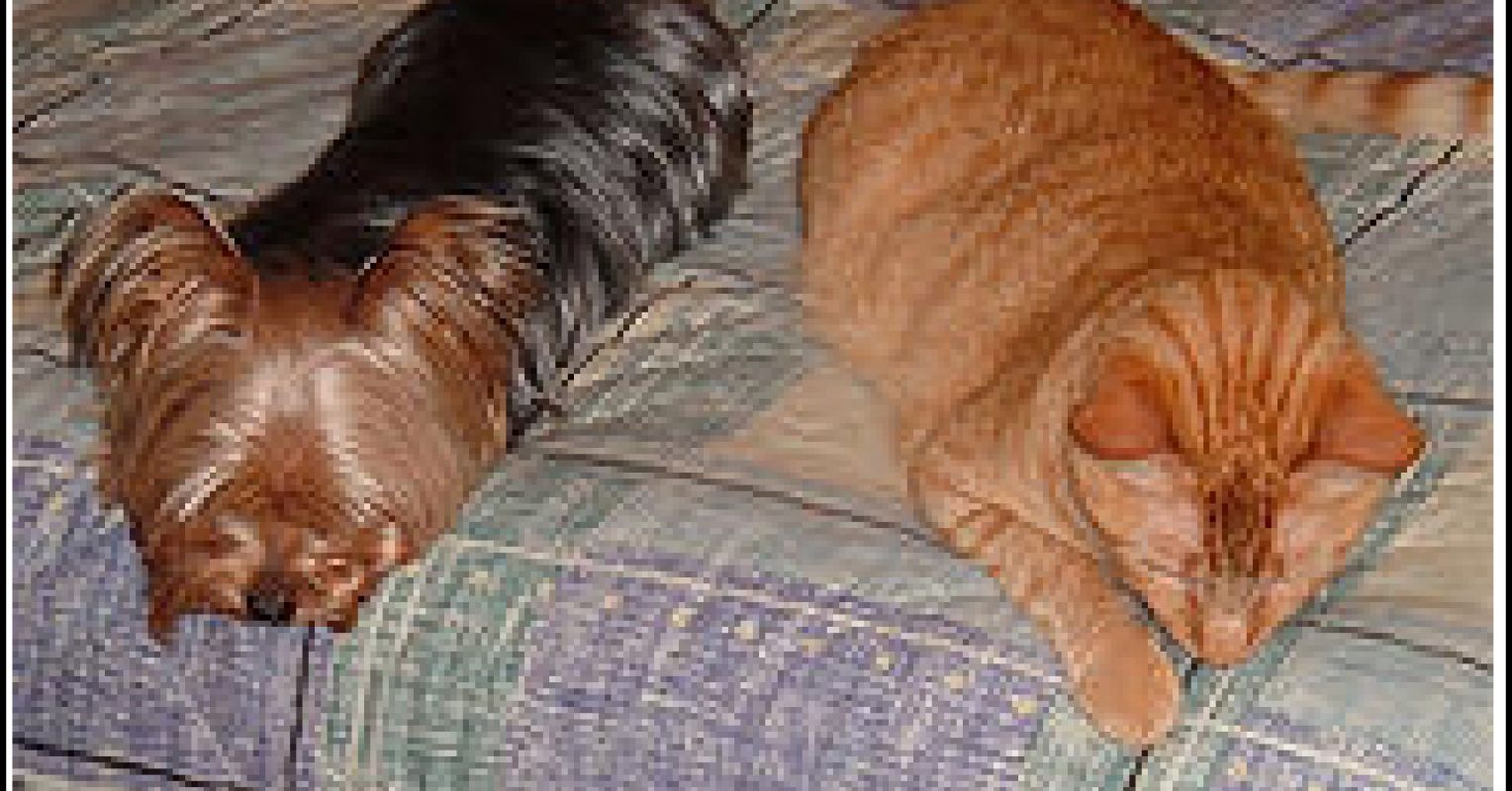 How To End A Friendship | Psychology Today