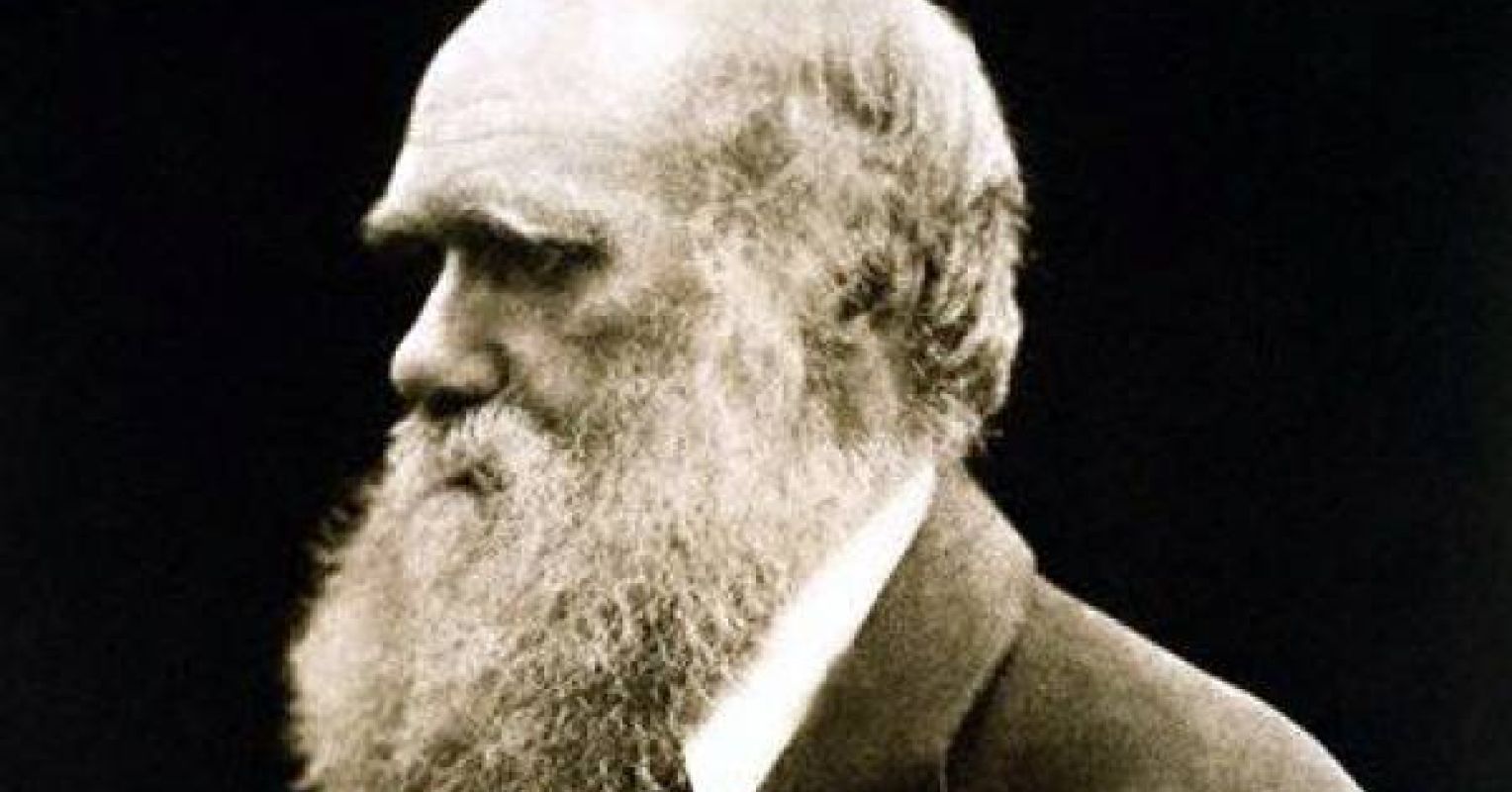 Darwin's Regret | Psychology Today