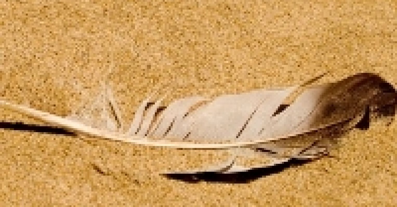 Recognizing Anger as an Internal Alarm Signal: A Pathway to Forgiveness ...