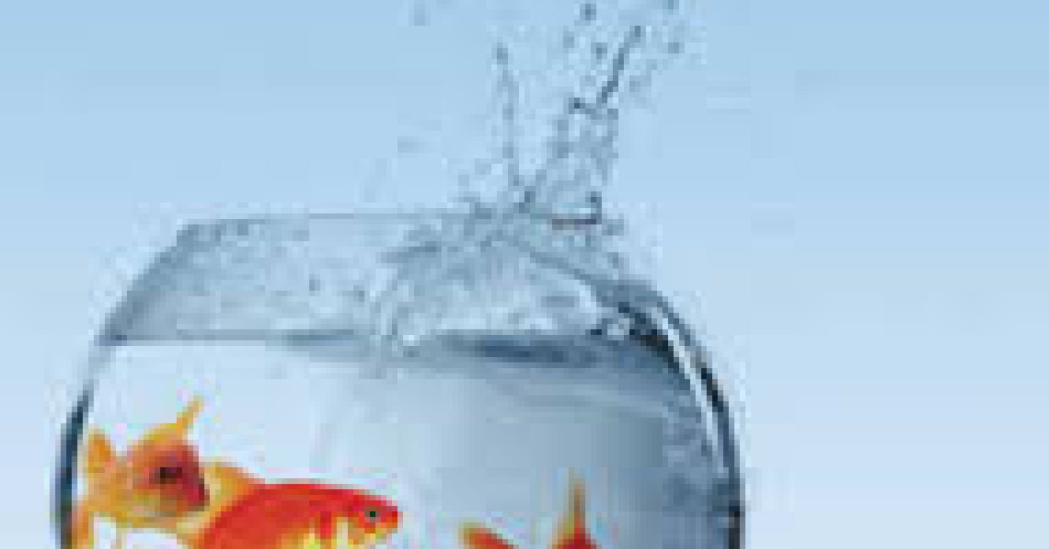 Using Your 5 Personal Power Bases to Get Ahead | Psychology Today Canada