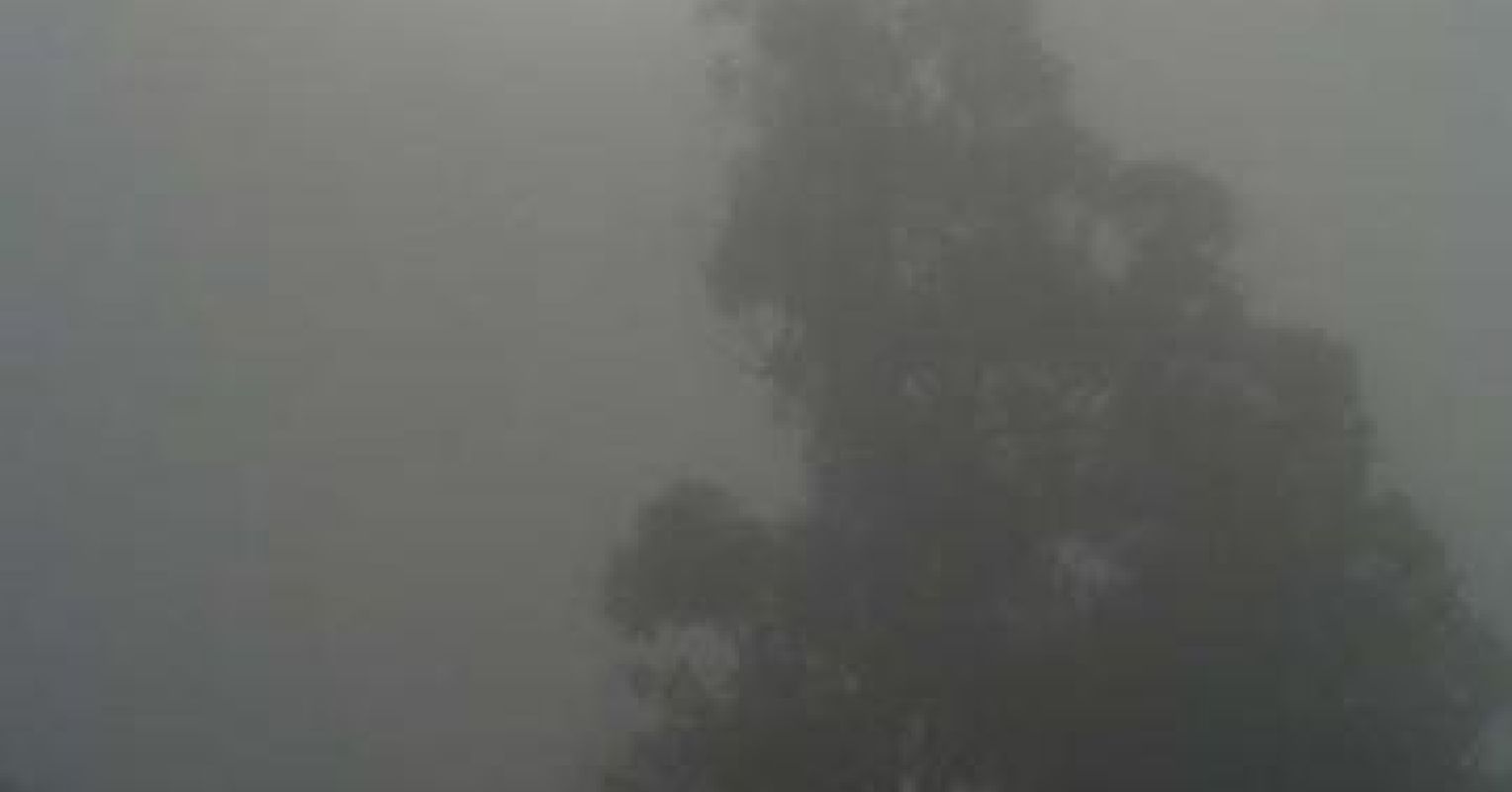 The Mysterious Fog | Psychology Today