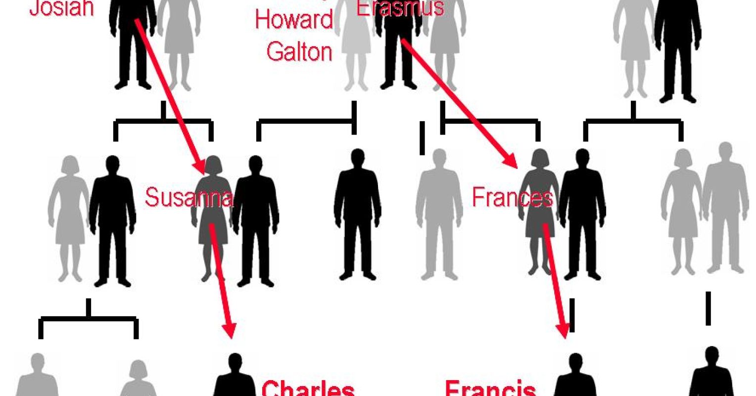 Intelligence Is Inherited From Mothers