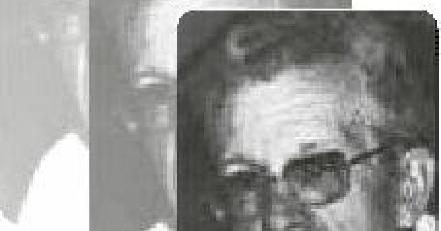 Lingering Lyonization:The Genetics of Asperger's Syndrome? | Psychology ...