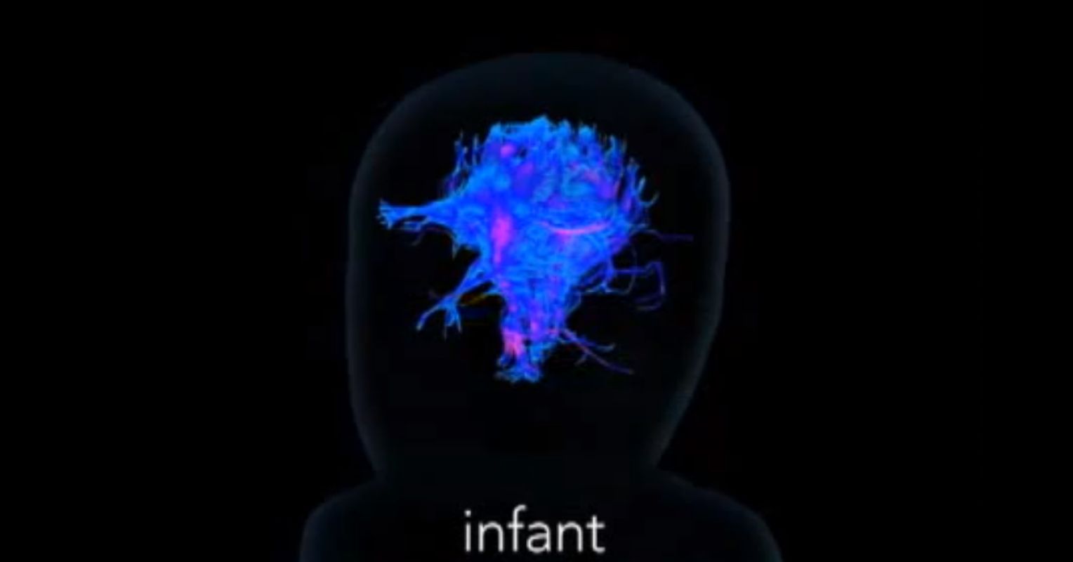 Revolutionary Machine Reveals Baby Geniuses | Psychology Today