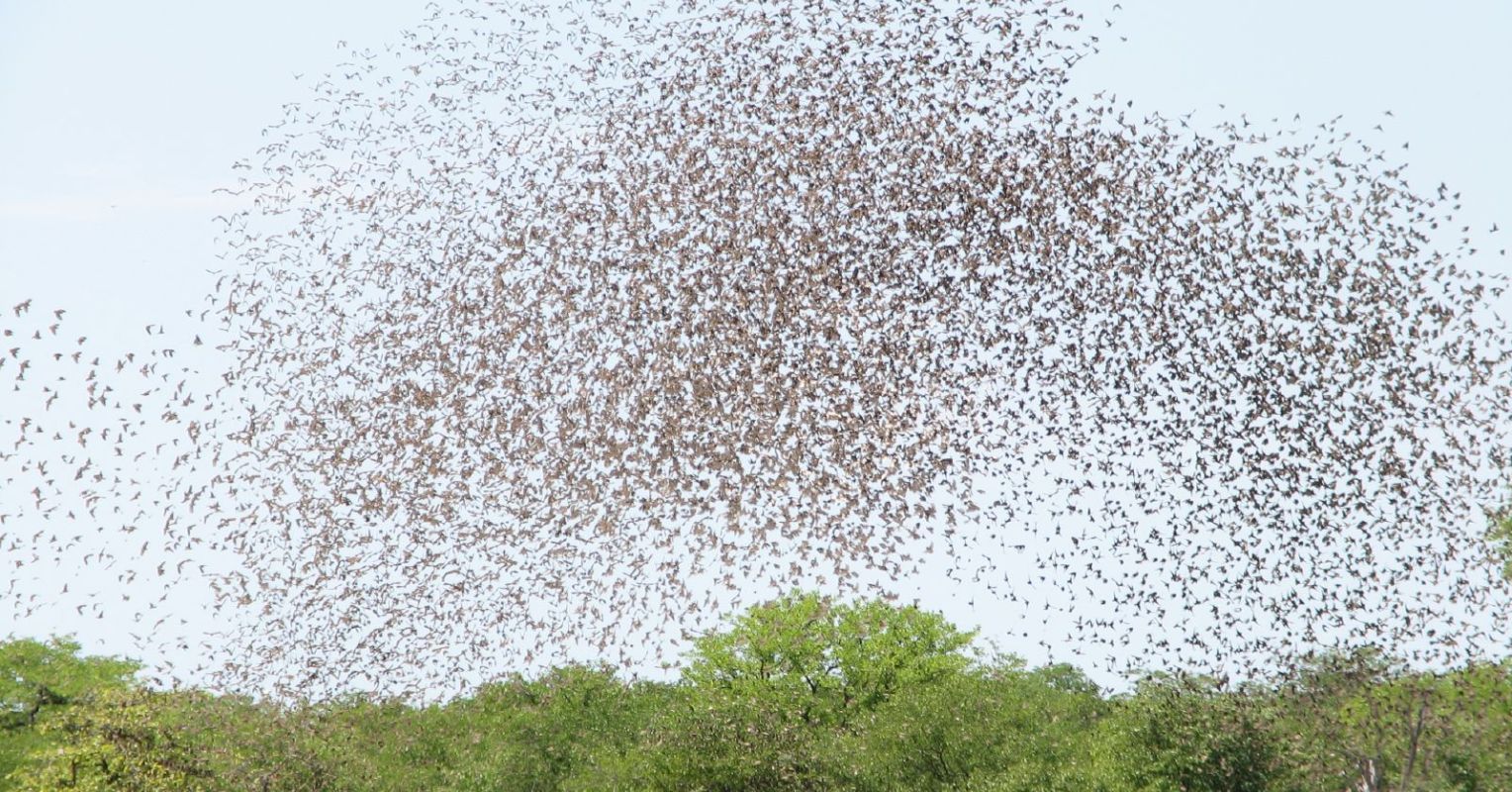 Are You Vulnerable to the Hipster Effect? | Psychology Today Singapore