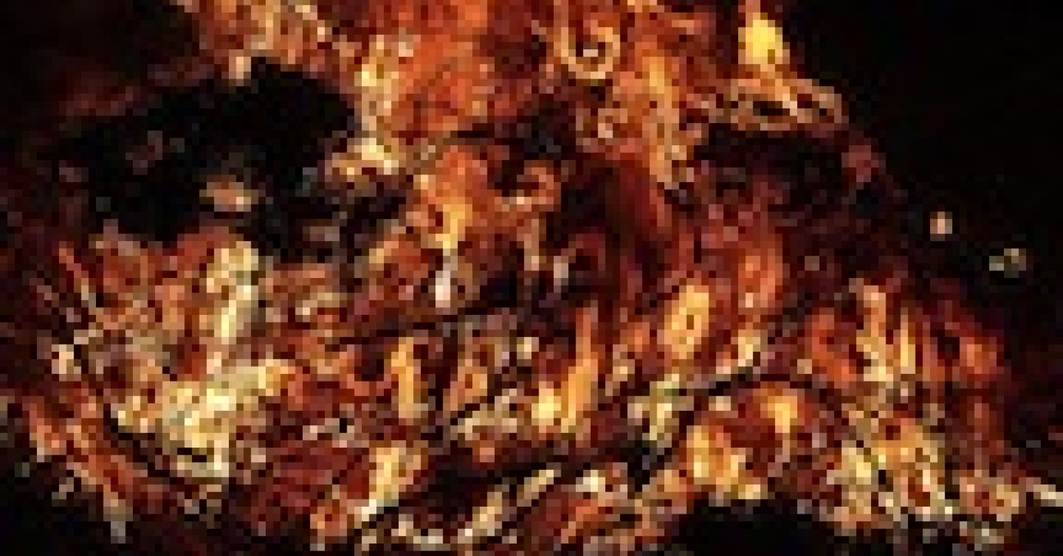 The Human Spark | Psychology Today
