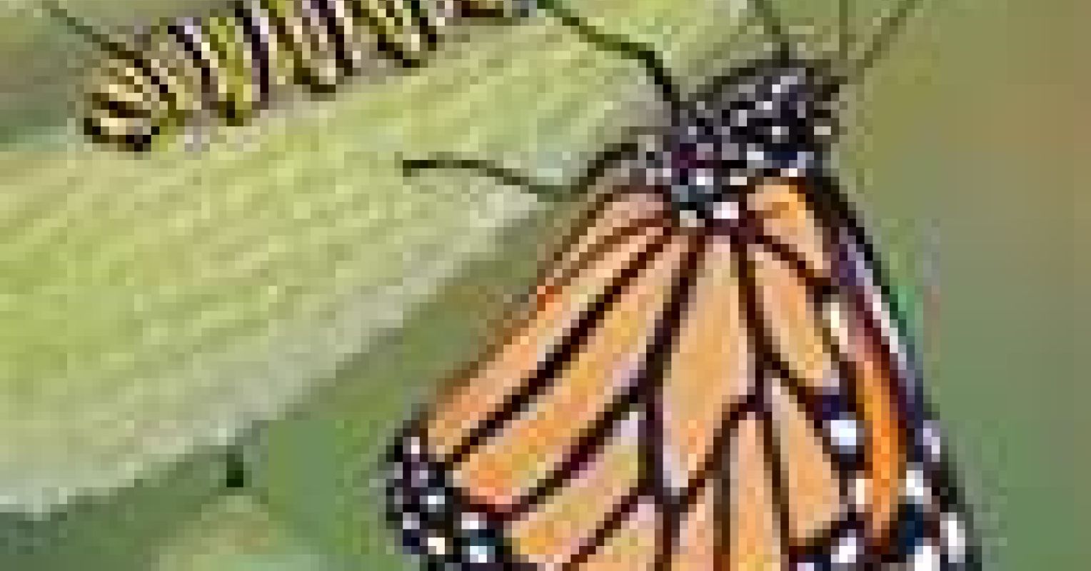 Change Happens from the Inside Out | Psychology Today