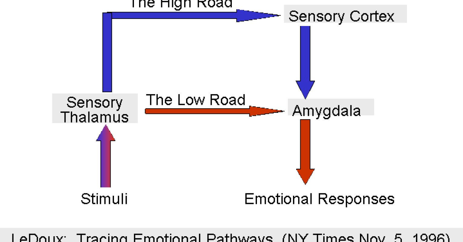 Feelings vs. Reactions | Psychology Today