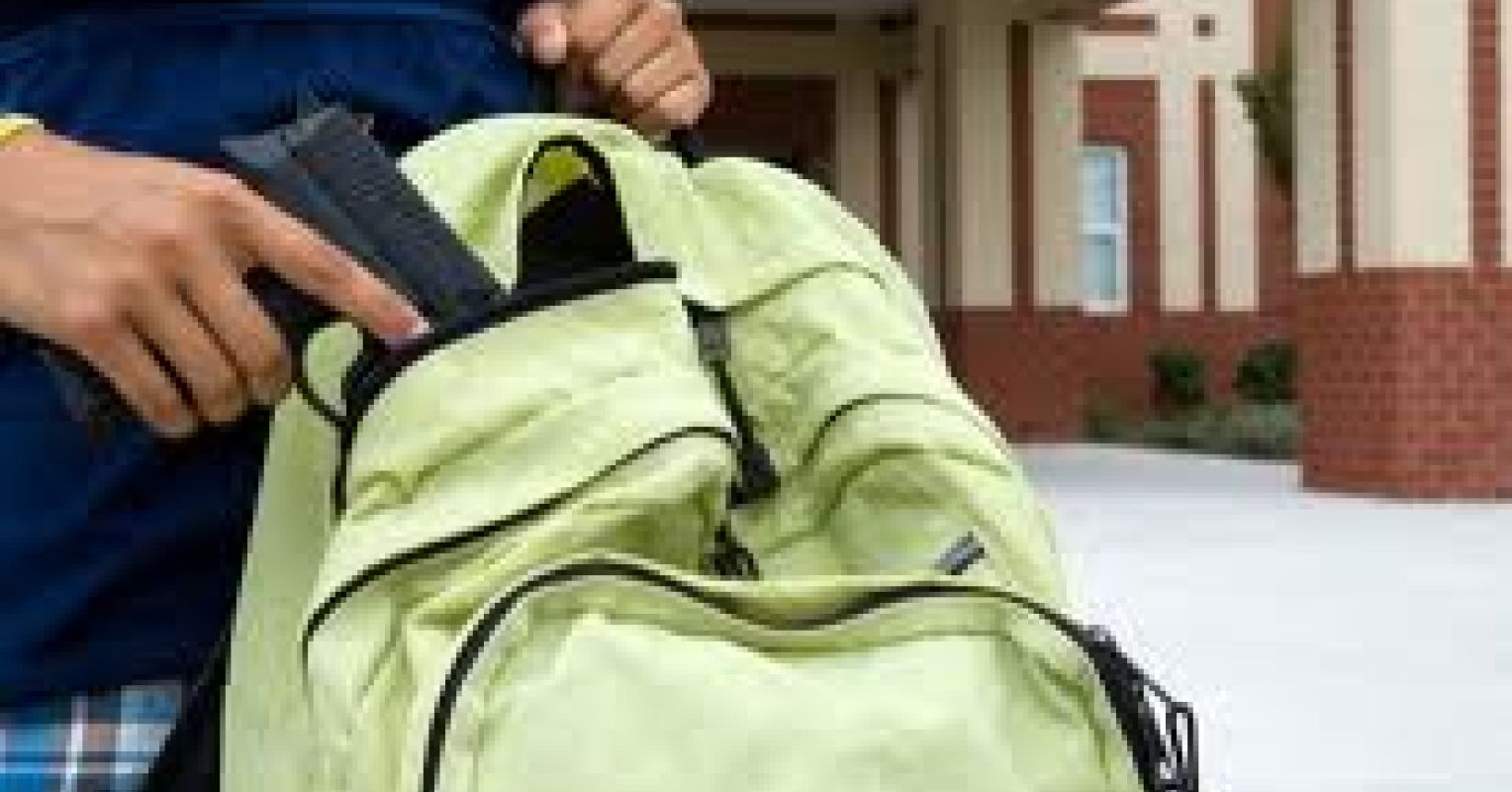 The 10 Best Security Tools for School Violence Prevention | Psychology ...