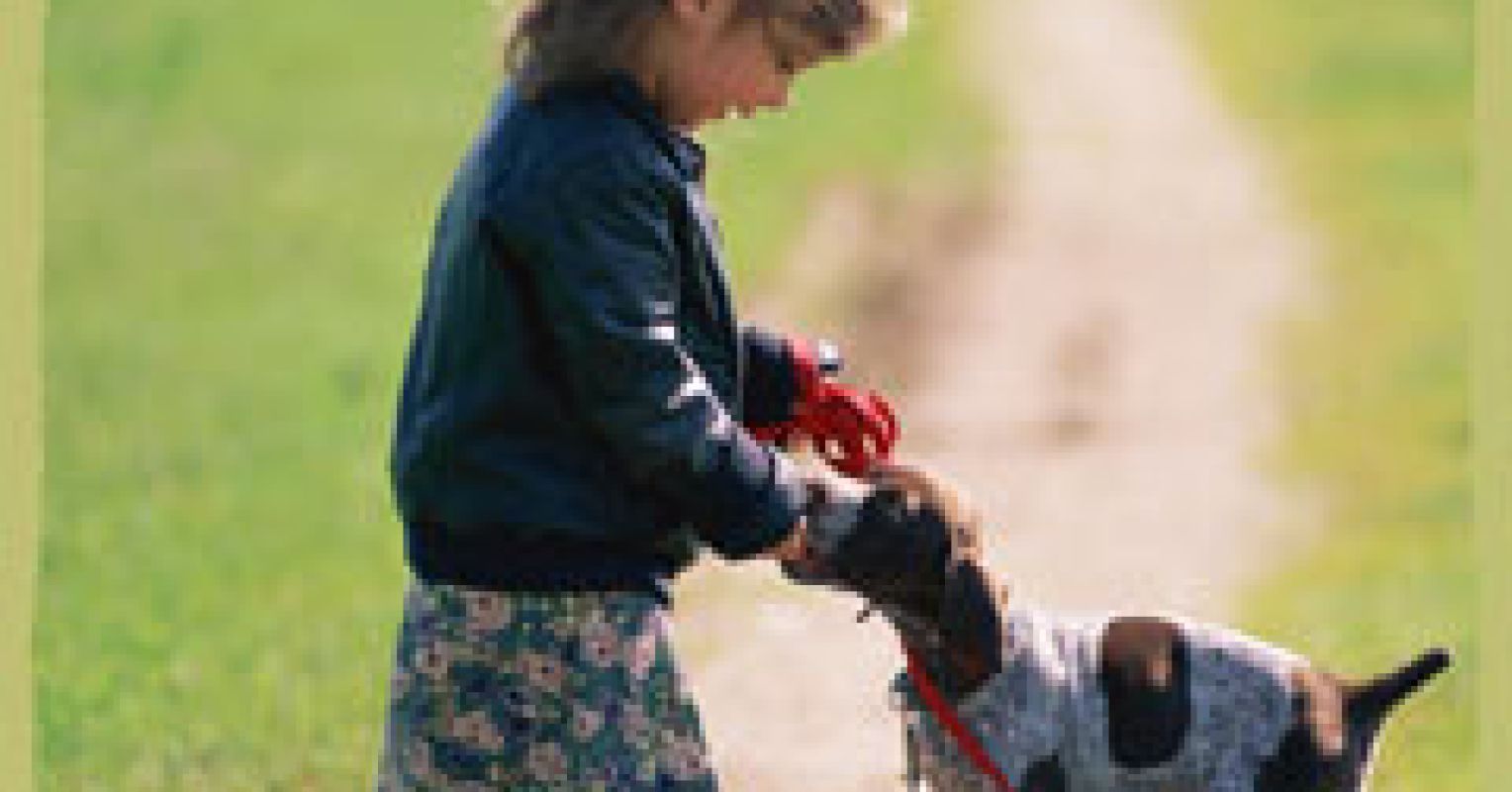 Behind the Smaller Family Trend | Psychology Today